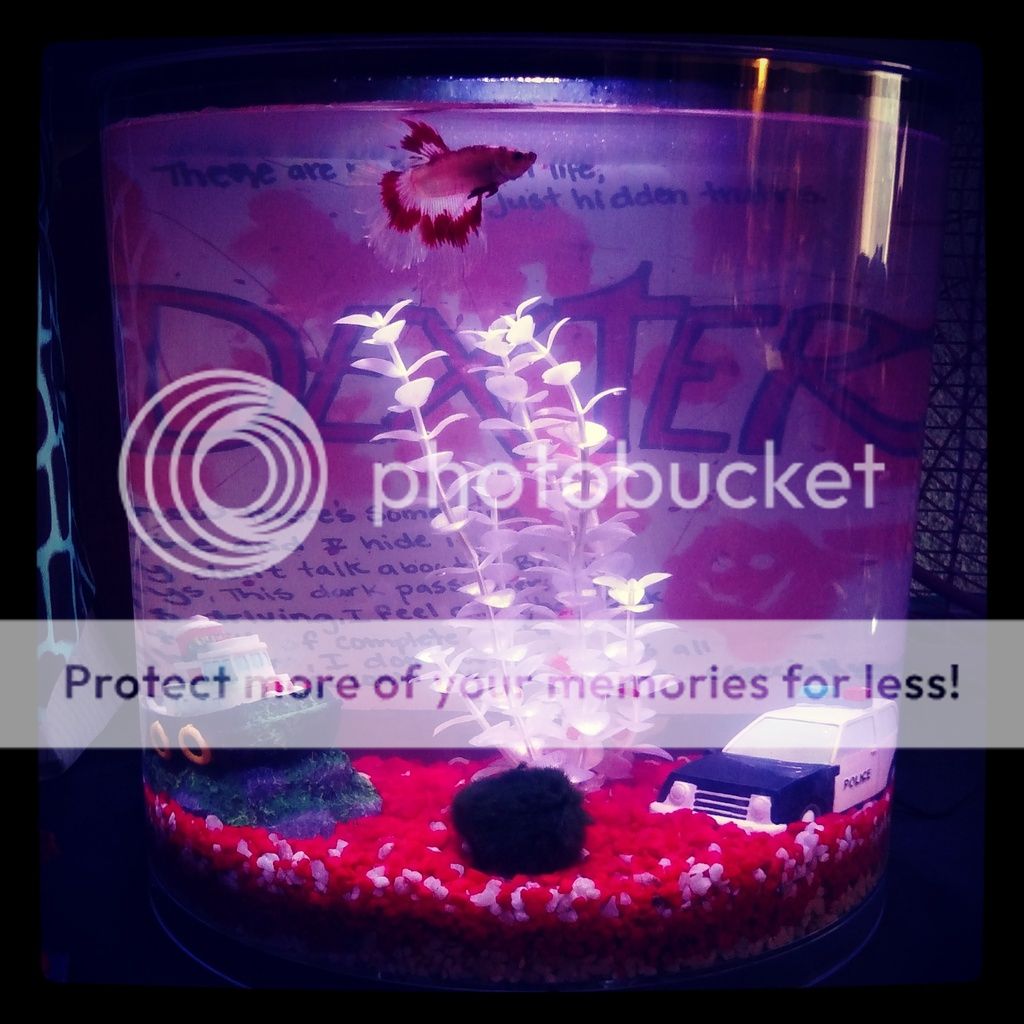 Dexter the Fish : r/Dexter