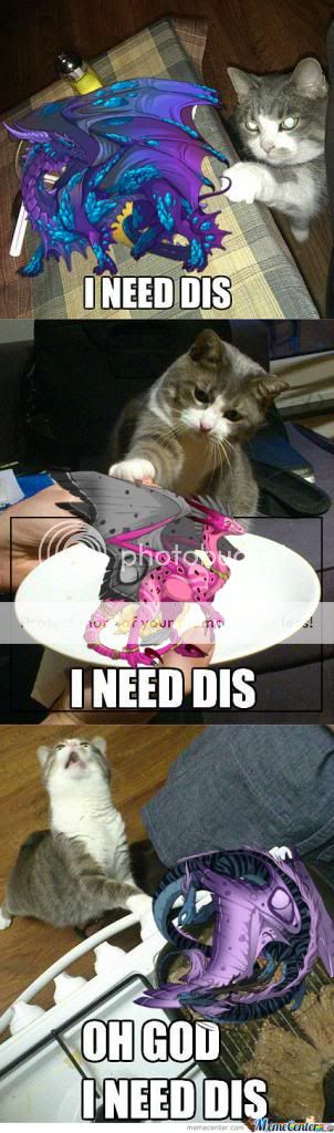 Flight Rising Memes | Flight Rising Discussion | Flight Rising